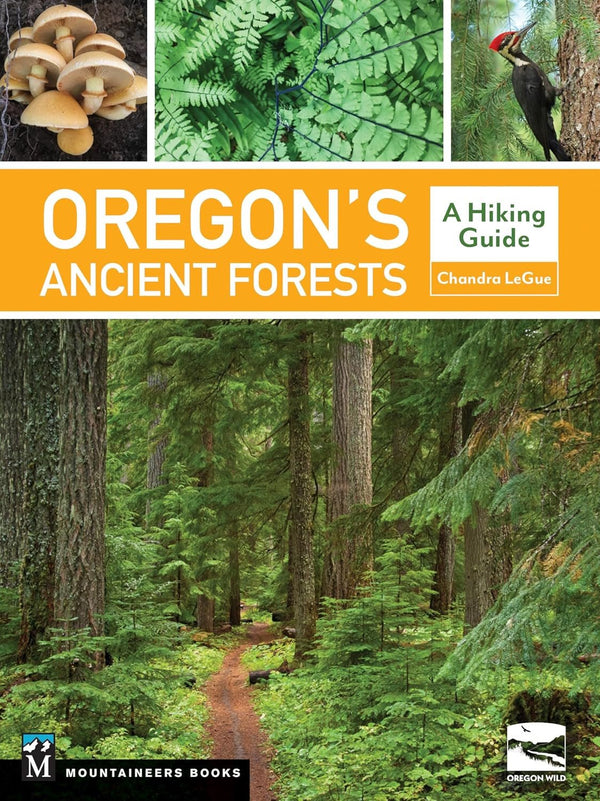 Oregon Ancient Forests Book - Hello From Portland